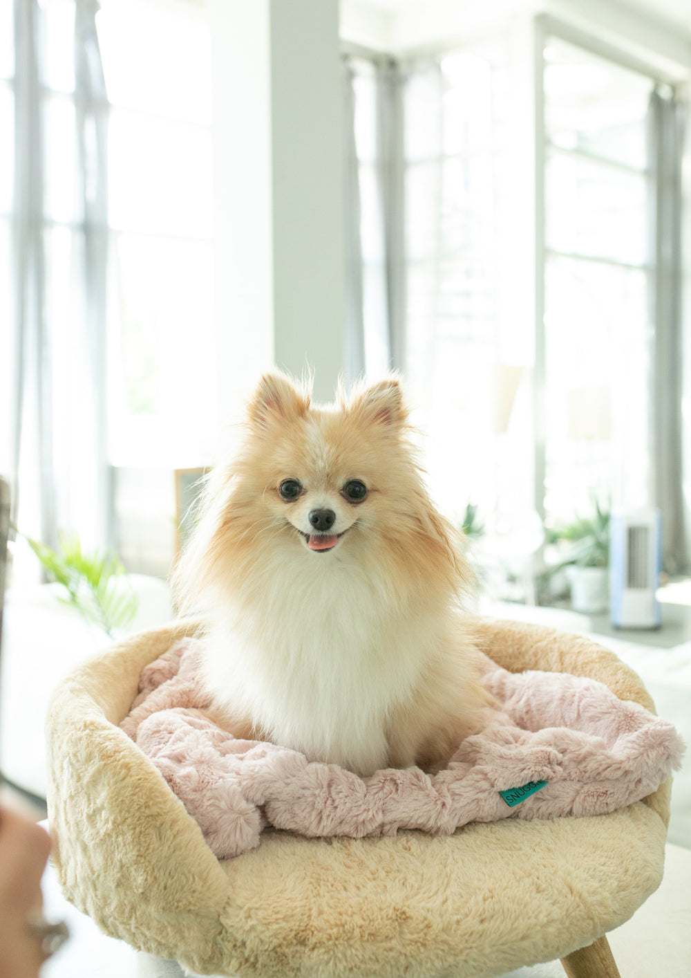 Snuggle Sac Collection – The SNUGGIT Company