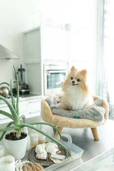 Snuggle Sac Collection – The SNUGGIT Company