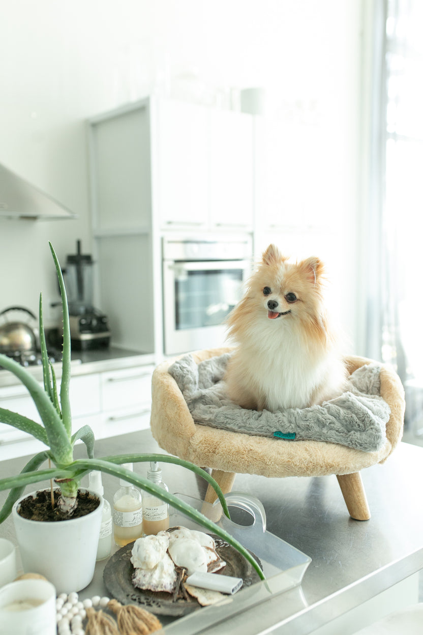 Snuggle Sac Collection – The SNUGGIT Company